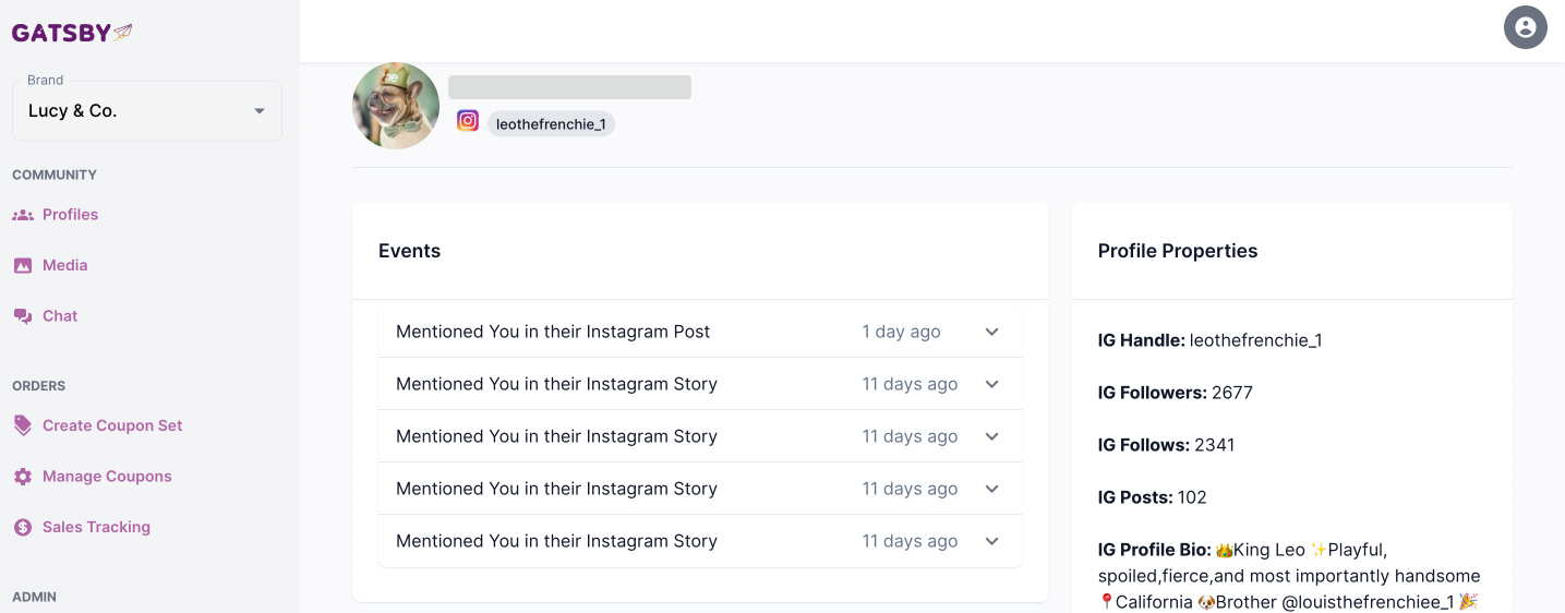Lucy & Co. achieves 5x Sales ROI in first 30 days and growing fast